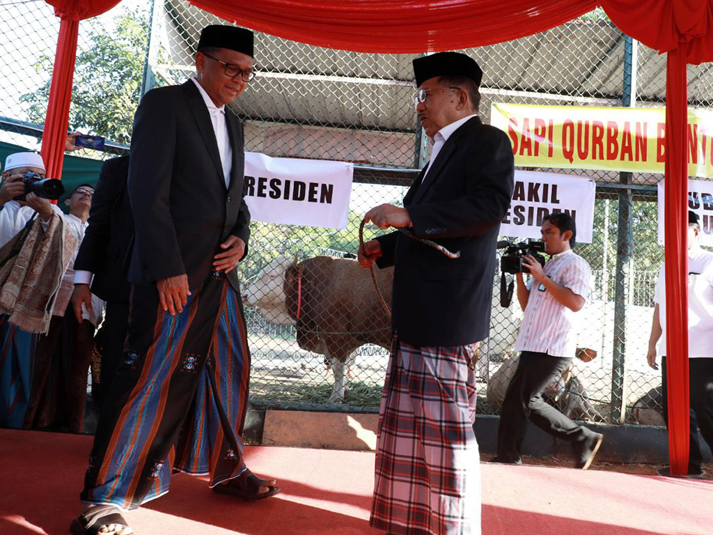 Wapres JK Serahkan Sapi Kurban Presiden Jokowi di Makassar | Tagar Wapres JK Serahkan Sapi Kurban Presiden Jokowi di Makassar | Tagar