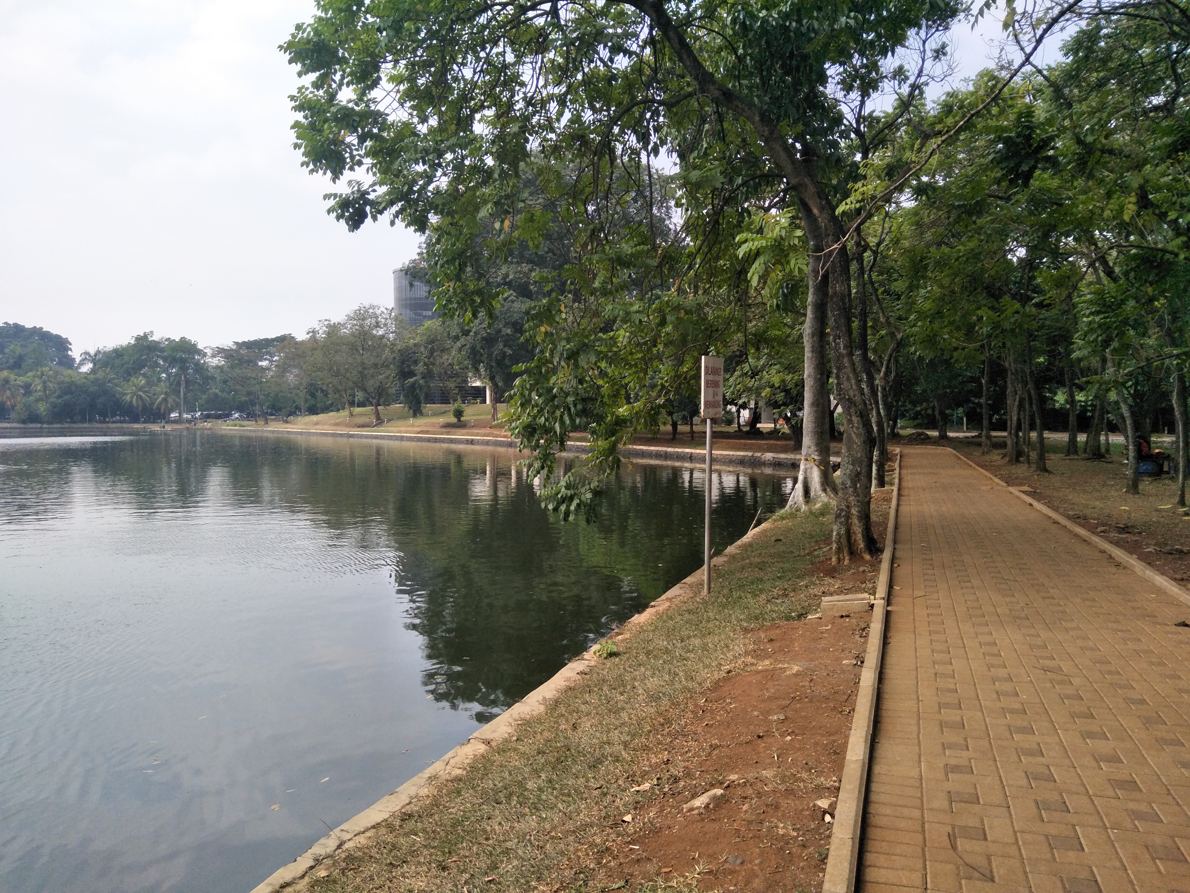 Pro Kontra Parkir Berbayar di Universitas Indonesia | Tagar