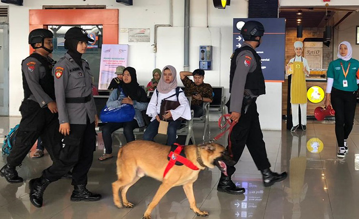 Belgian Malinois dan Labrador Siap Mengendus Bahaya | Tagar