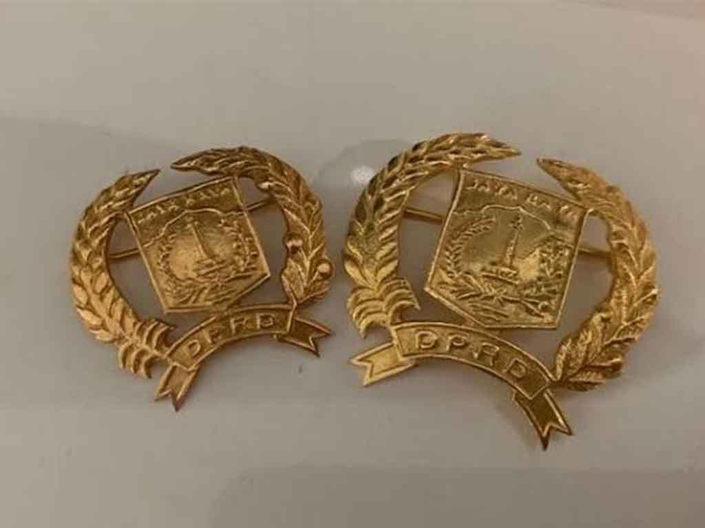 Alasan Kenapa 50 Anggota DPRD Medan Pakai Pin Kuningan | Tagar