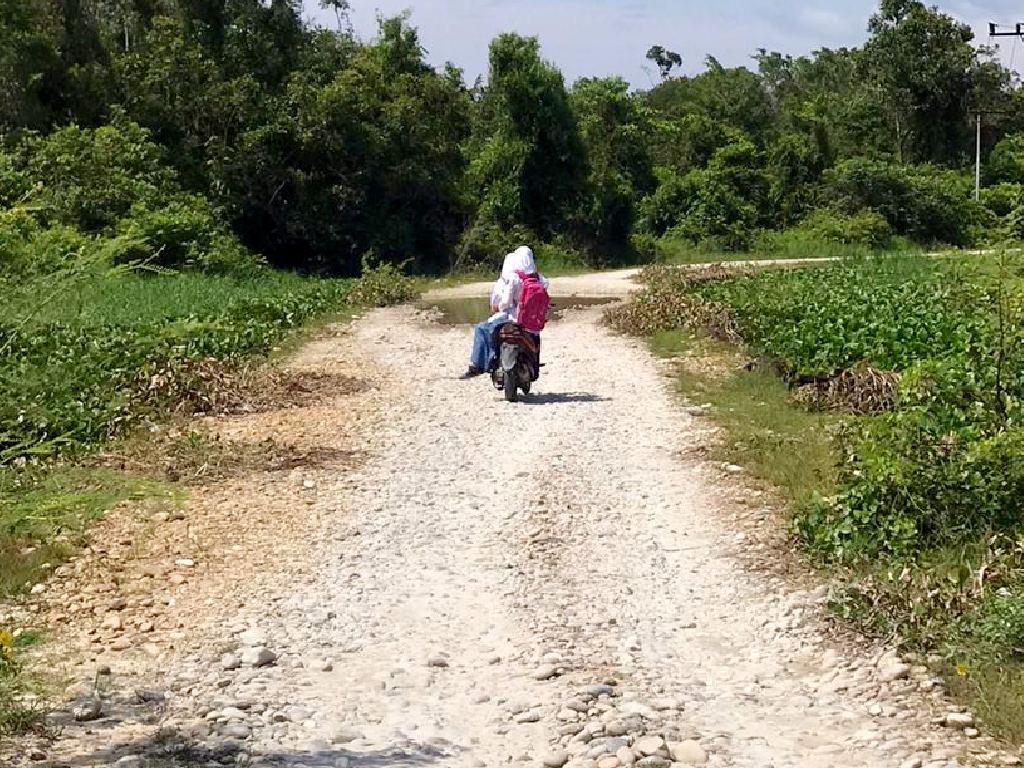 Jalan Aceh Singkil dan Teluk Rumbia Memprihatinkan | Tagar Jalan Aceh Singkil dan Teluk Rumbia Memprihatinkan | Tagar