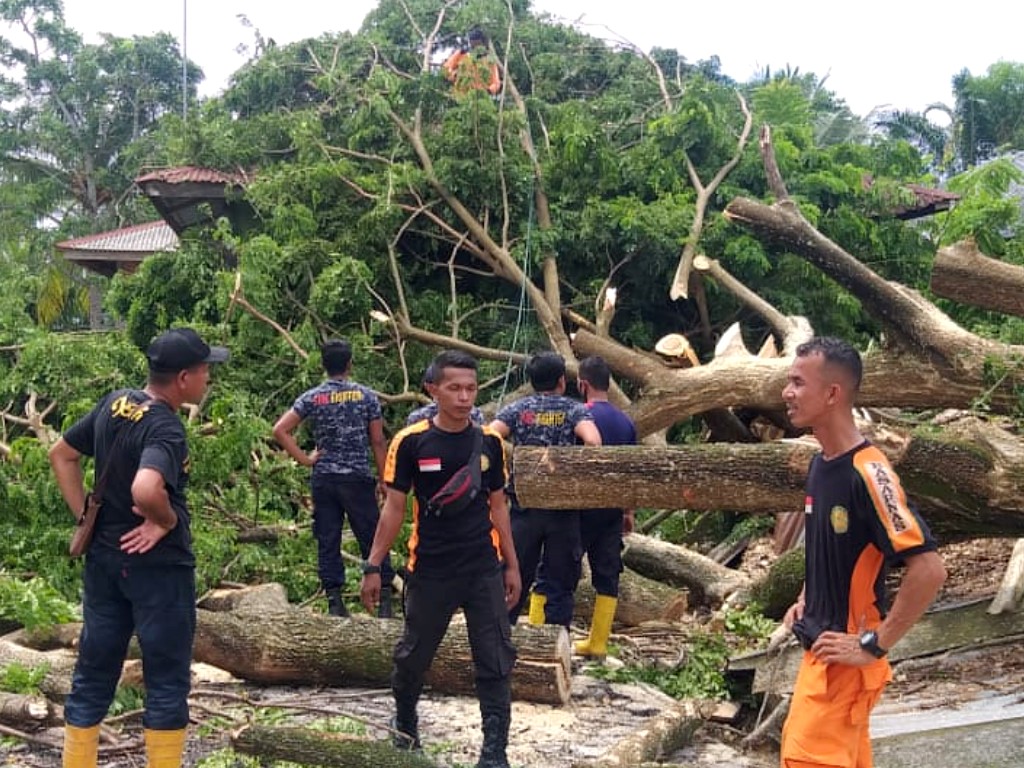 Angin Kencang, Puluhan Rumah di Aceh Timur Rusak | Tagar Angin Kencang, Puluhan Rumah di Aceh Timur Rusak | Tagar