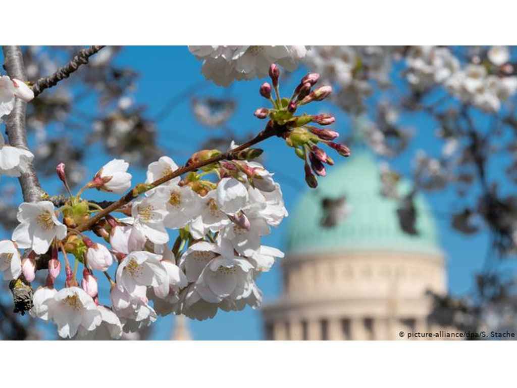 Musim Semi di Masa Pandemi Covid-19 Mulai Merebak di Jerman | Tagar