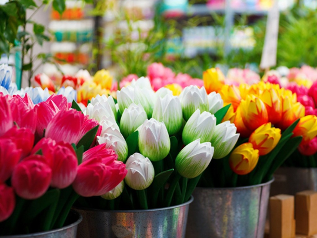 Cara Merawat Bunga Batangan Agar Tahan Lama | Tagar