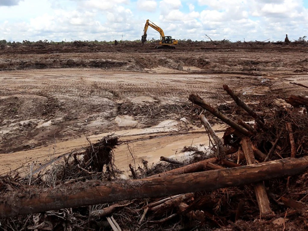 Suhu di Kalimantan Timur Naik 1 Derajat Celcius Akibat Deforestasi | Tagar