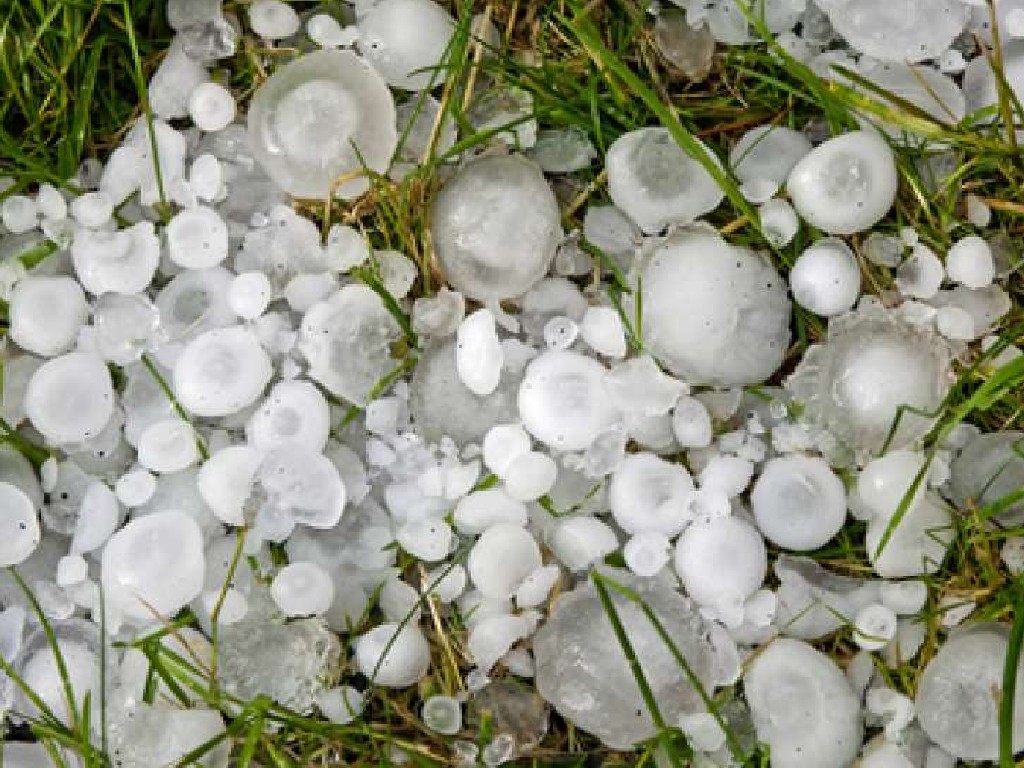 Wilayah Semarang Dilanda Fenomena Hujan Es | Tagar