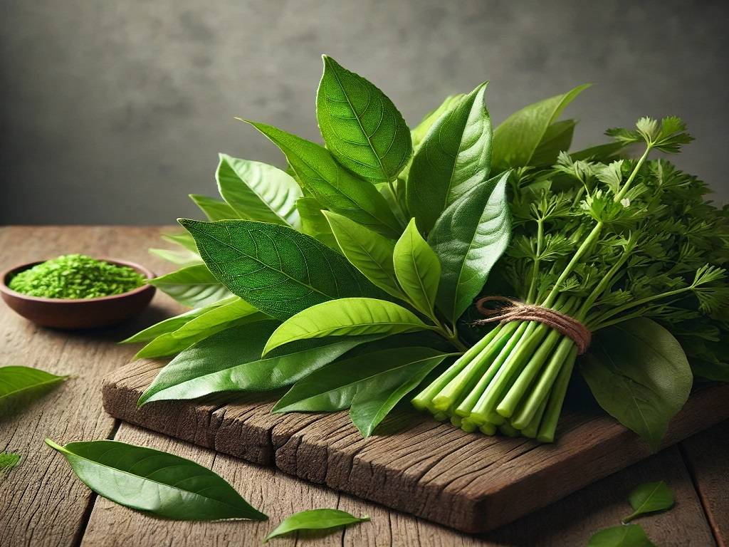 Daun Salam vs Seledri untuk Asam Urat: Mana yang Lebih Efektif untuk ...