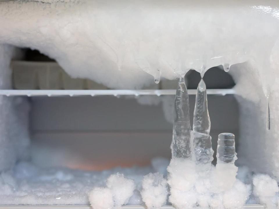 Cara Cepat Mencairkan Bunga Es di Freezer | Tagar